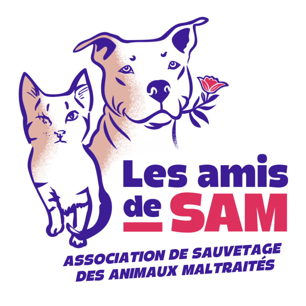 Nos animaux à l'adoption - Les Amis de Sam